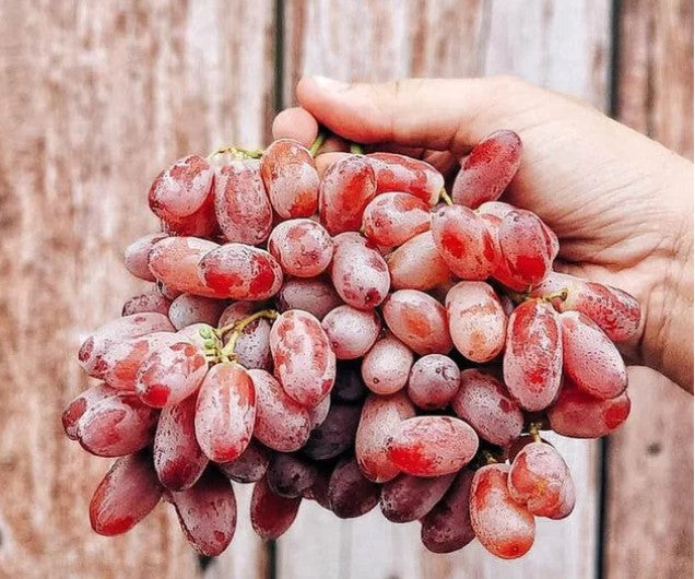 Grapes Red Seedless - USA (500 gm) – FRESH STOP SG