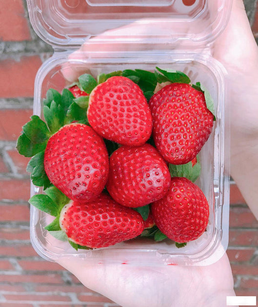 Strawberry - 250g per punnet – FRESH STOP SG