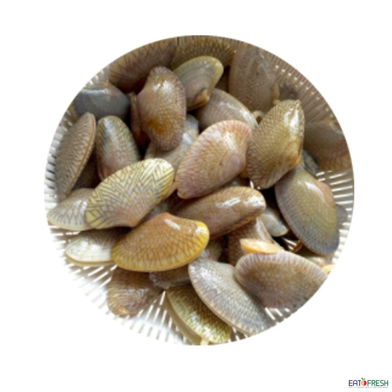 Batik Clams – FRESH STOP SG