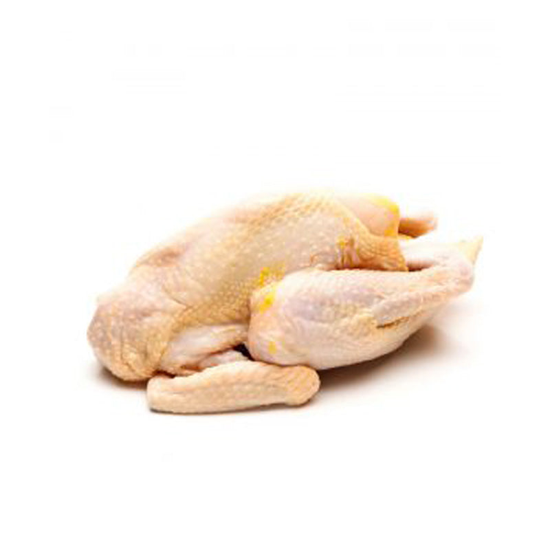 Whole Kampong Chicken – FRESH STOP SG